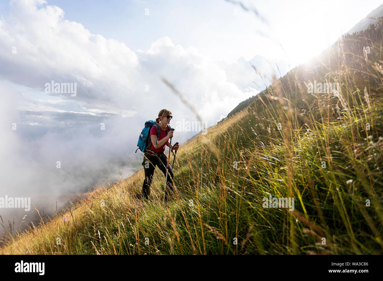 Woman hiking uphill with hiking poles Stock Photo - Alamy