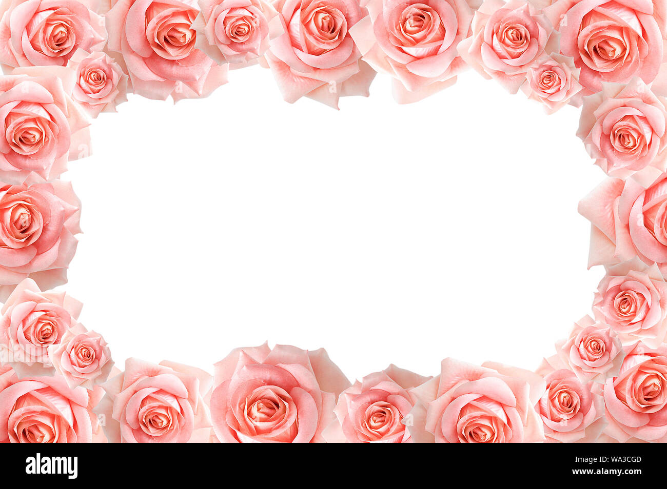 White blank background hi-res stock photography and images - Alamy