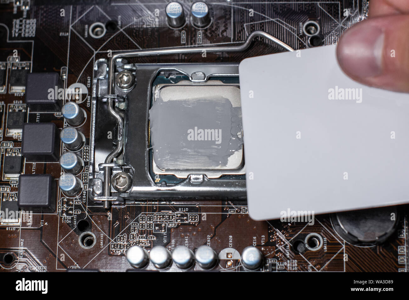 Close up to technician squeezing or application the thermal paste ...