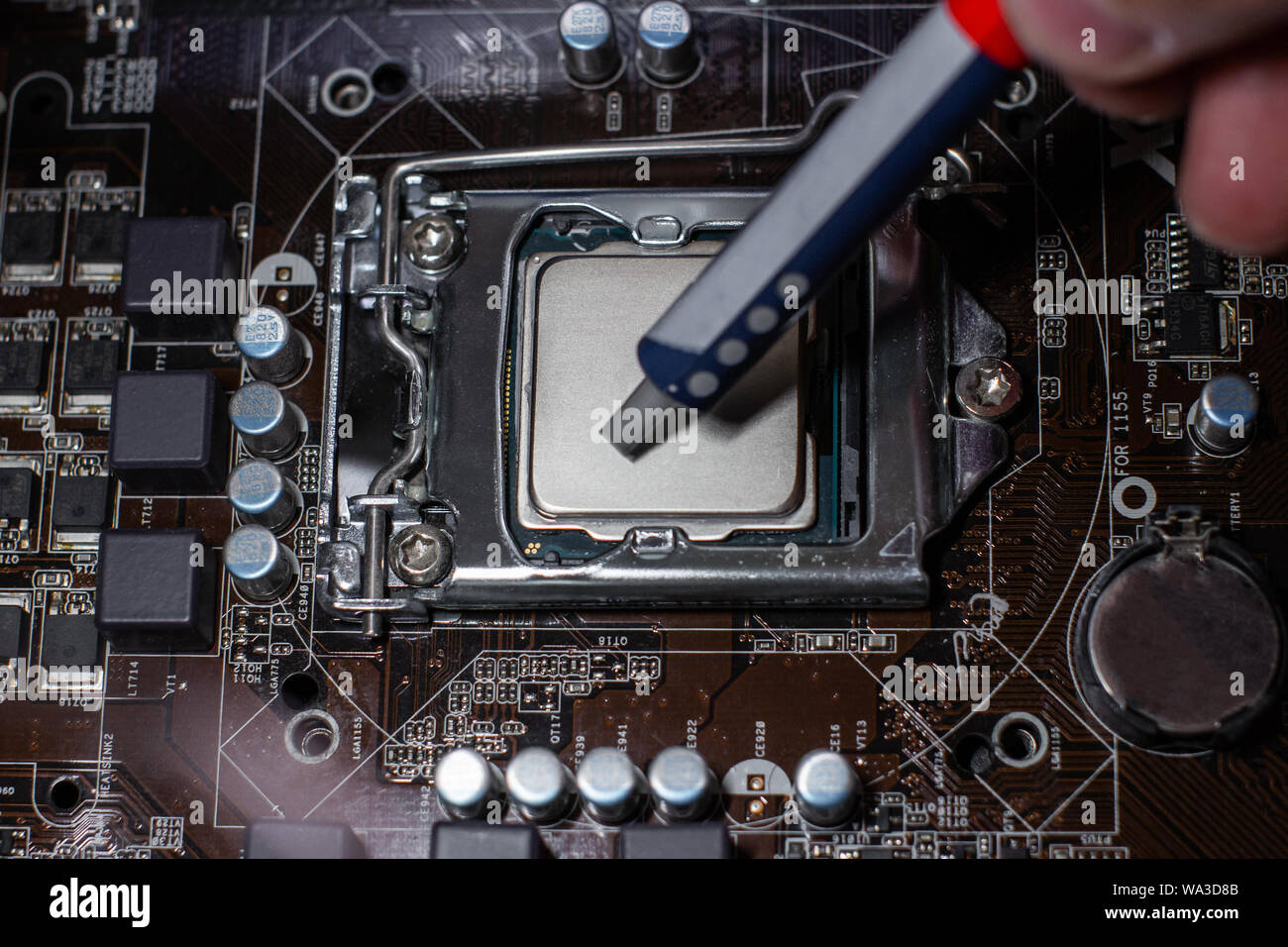 Close up to technician squeezing or application the thermal paste ...