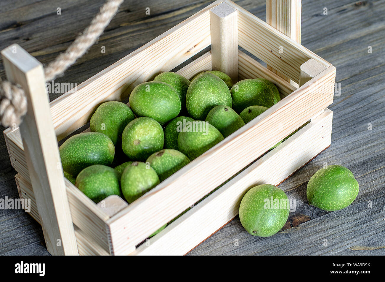 Walnut green hi-res stock photography and images - Alamy