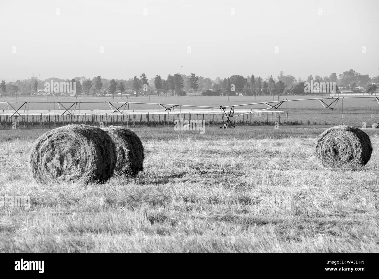 Rural autumn colour Black and White Stock Photos & Images - Alamy