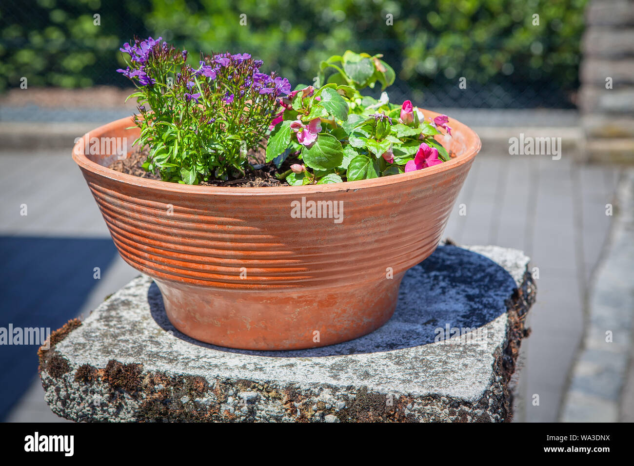 street design with big flower pot Stock Photo - Alamy