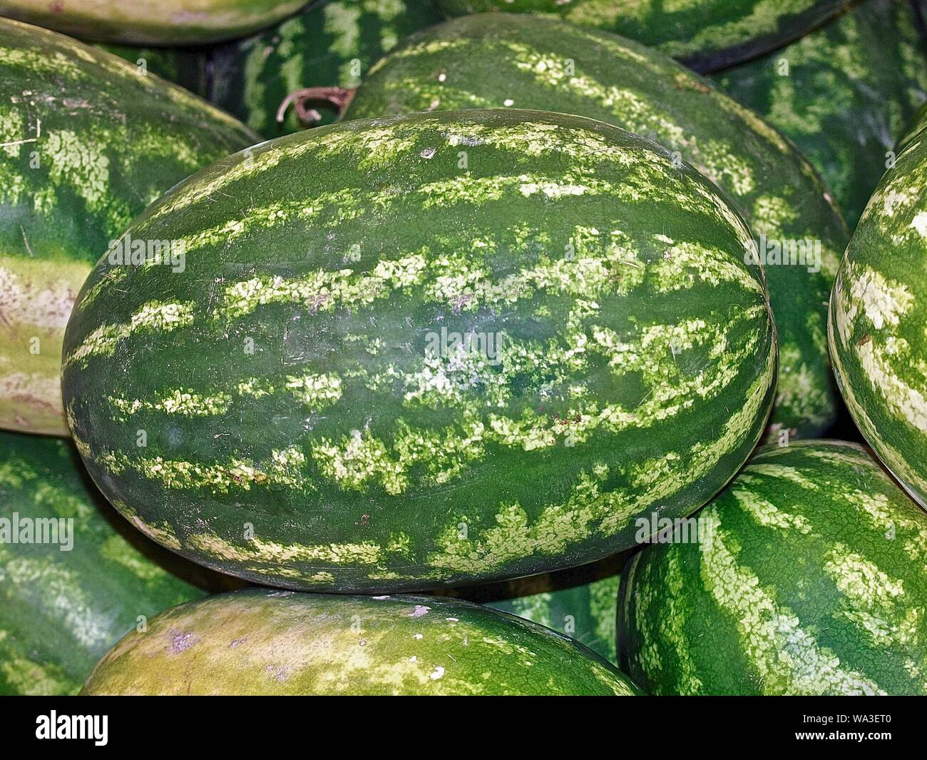 Natural watermelon dessert seeds mint hi-res stock photography and ...