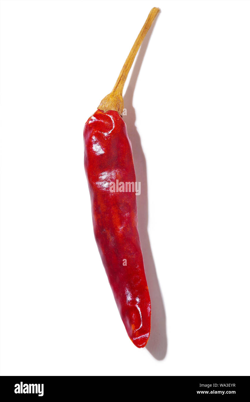 Single chilli pepper Cut Out Stock Images & Pictures - Alamy