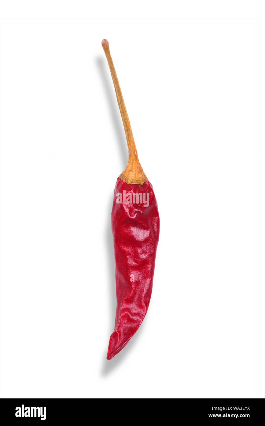 Single chilli hi-res stock photography and images - Alamy