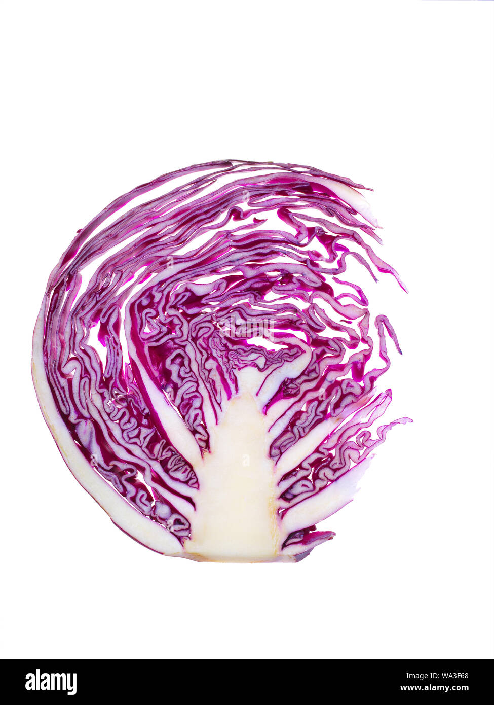 Cross section purple cabbage hi-res stock photography and images - Alamy