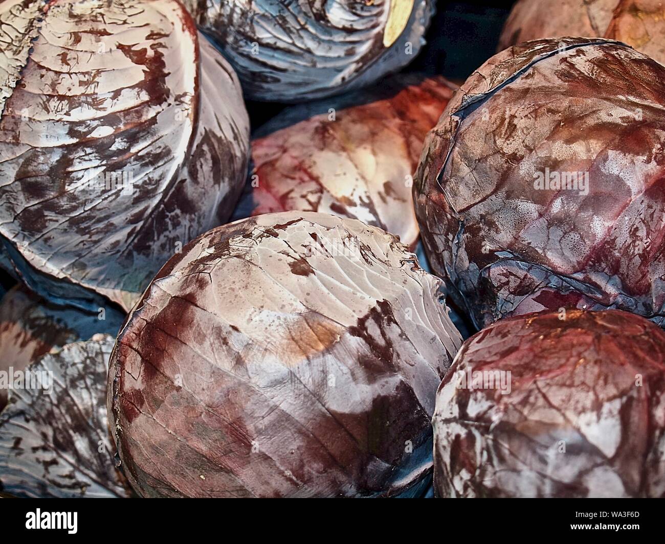 whole red cabbage at a food market Stock Photo - Alamy