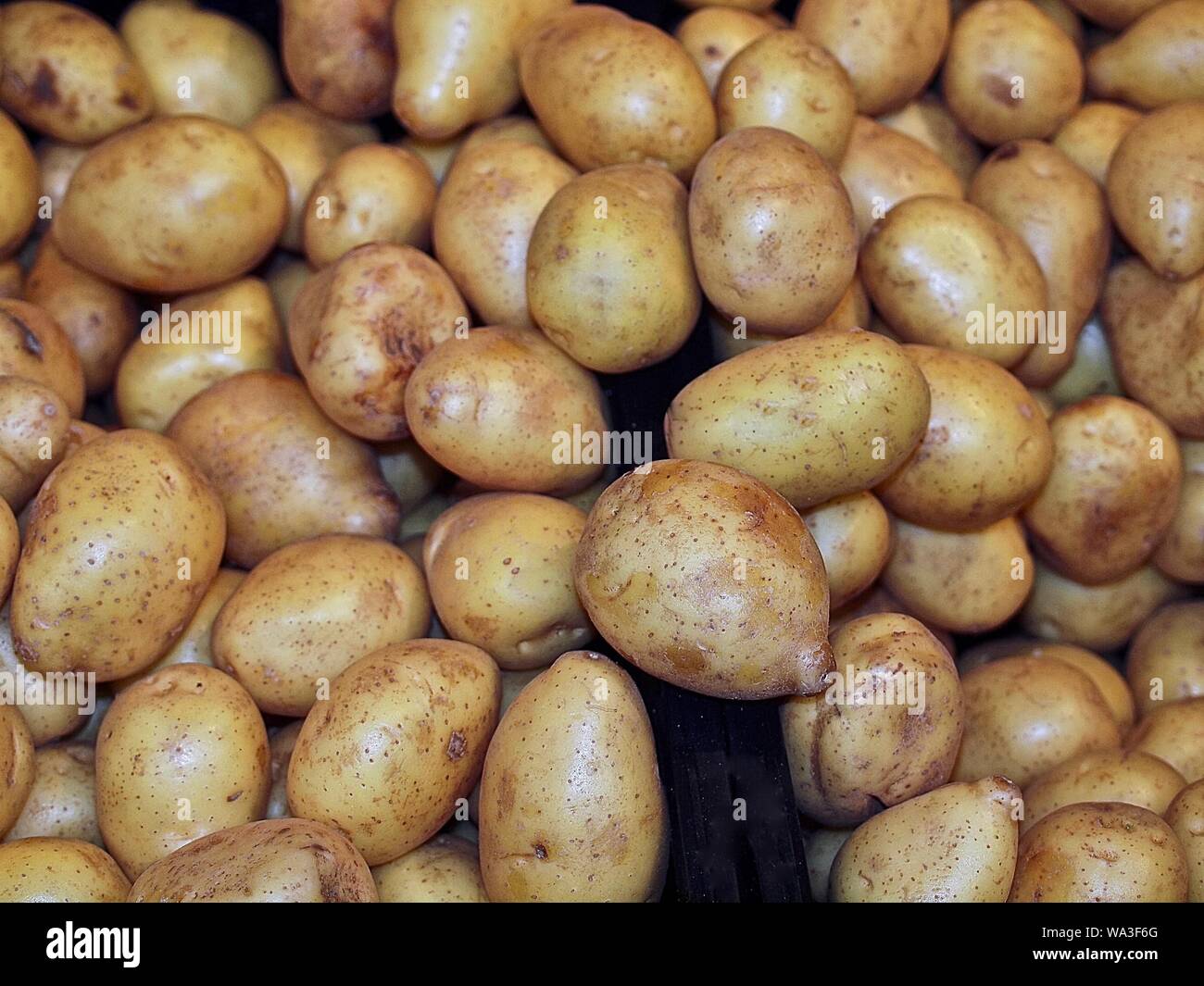 Pile of fresh whole potatoes Stock Photo - Alamy