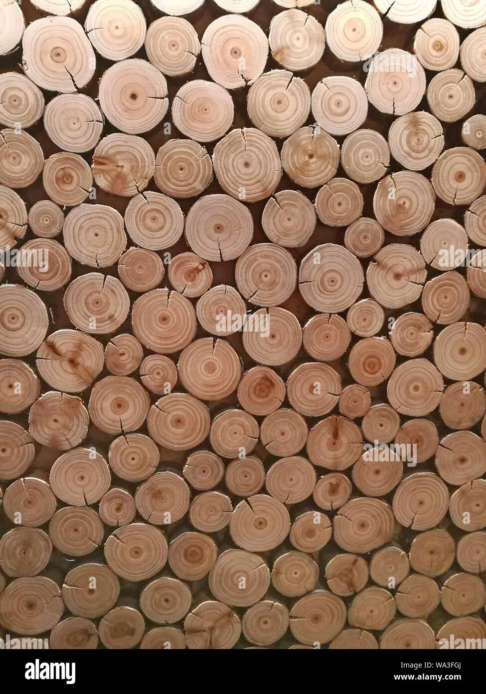 Timber cross section hi-res stock photography and images - Alamy