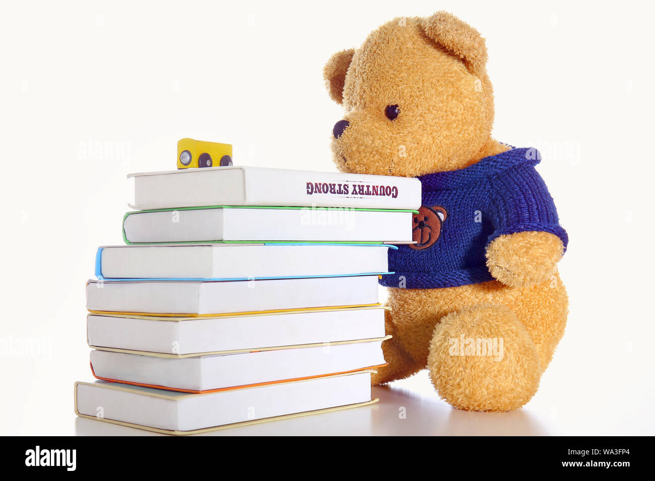 Plush toy bear, learning Stock Photo - Alamy