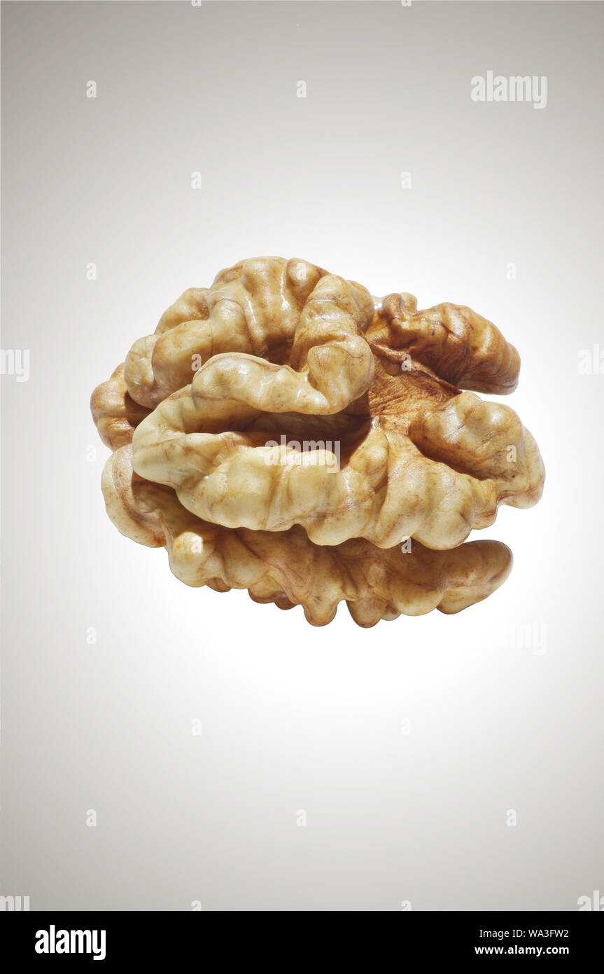 Walnut, walnut kernel Stock Photo - Alamy