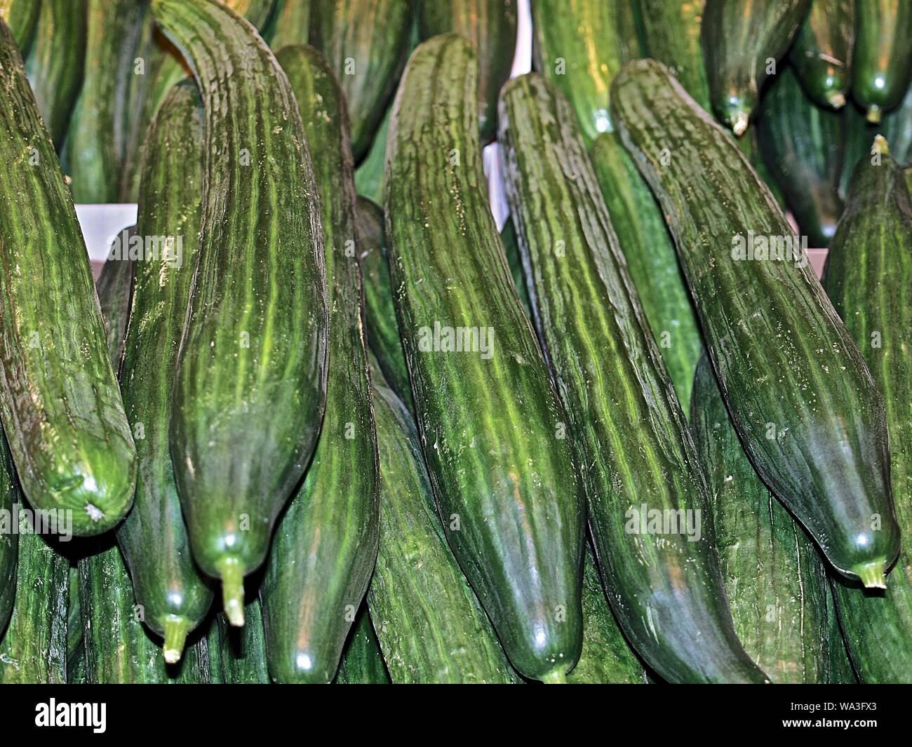 Snake cucumbers at a food market Stock Photo - Alamy