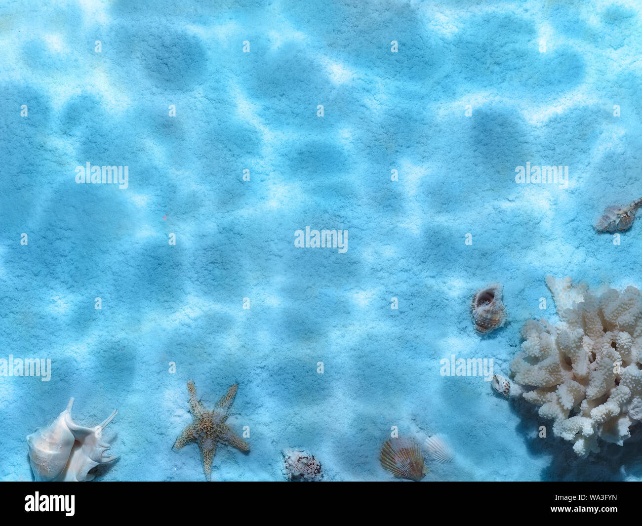 The underwater world, the ocean, underwater light and shadow Stock ...