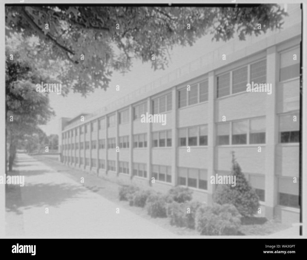 Francis Lewis High School Logo The First IB Class At Francis Lewis