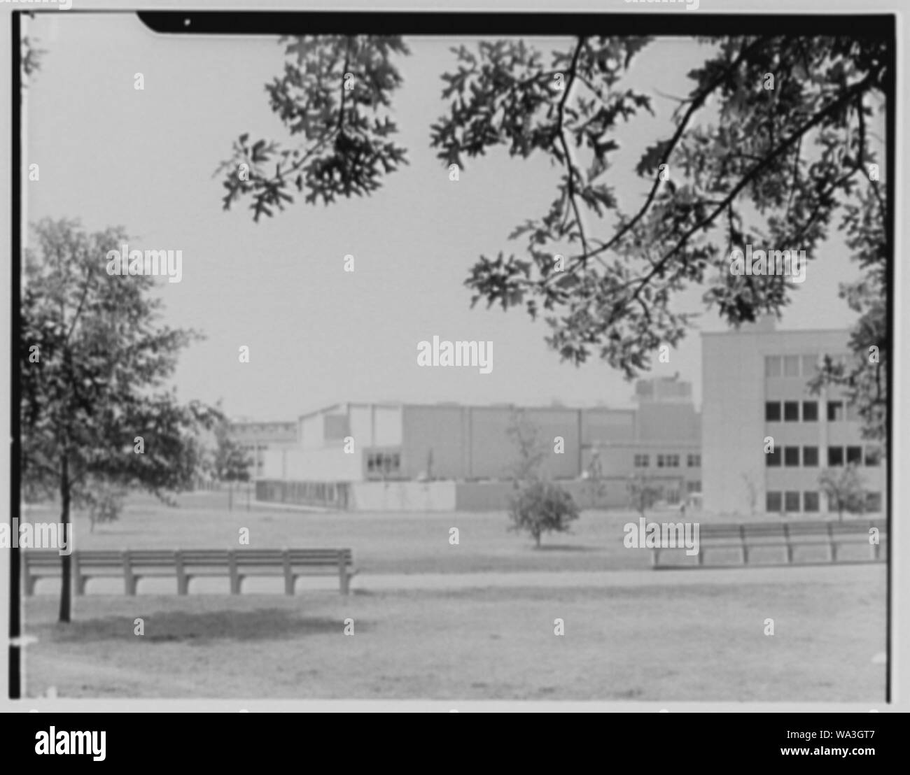 Francis Lewis High School Queens