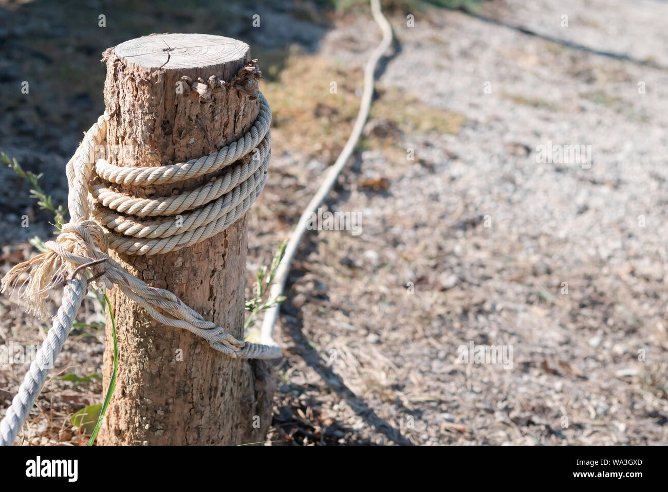 Tied to stake hi-res stock photography and images - Alamy