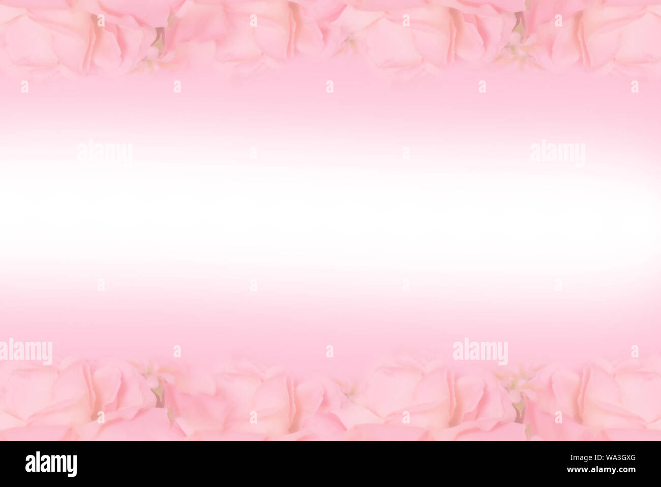Light Pink Flower Backgrounds
