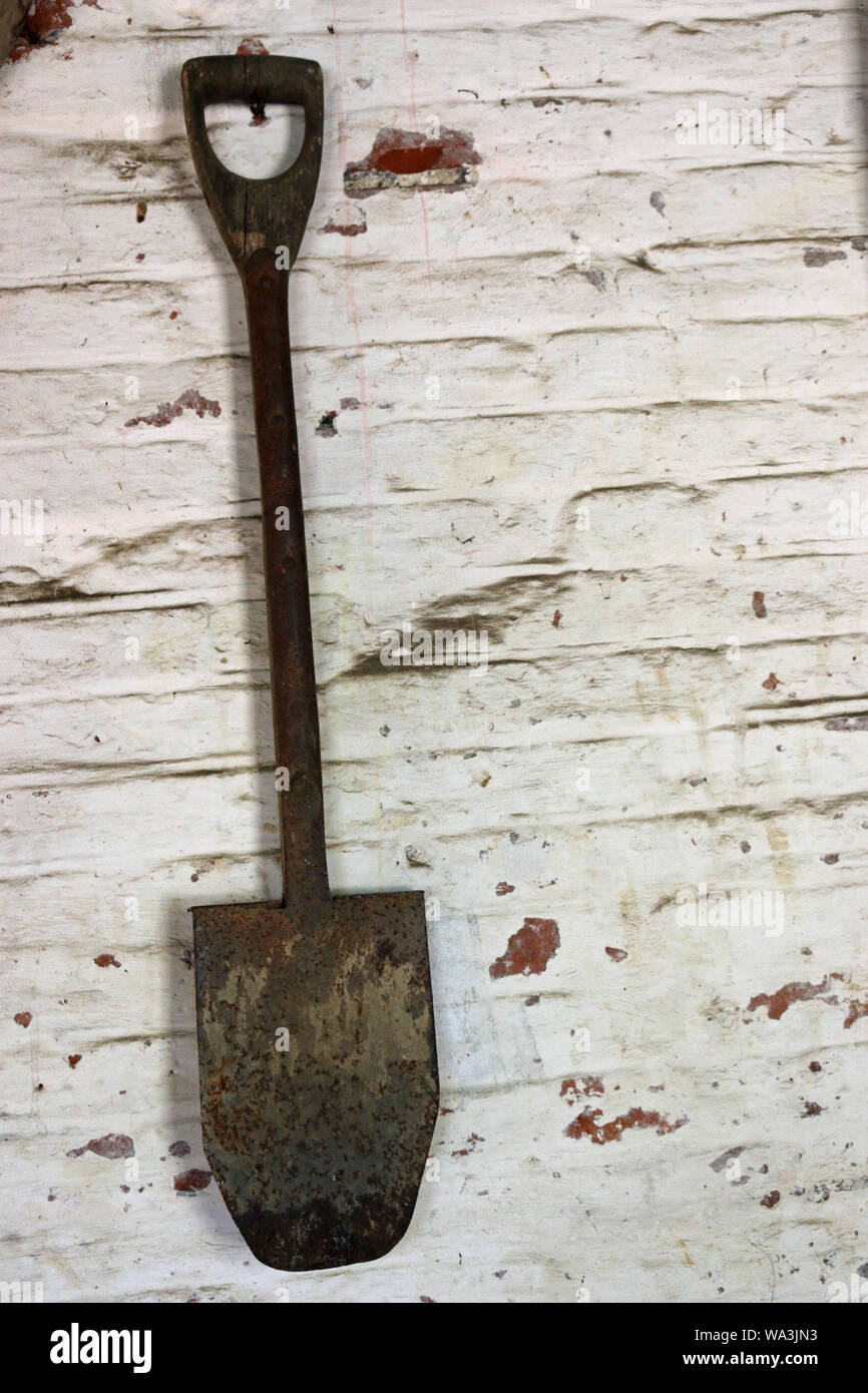 Vintage gardening spade with a wooden handle hanging on a white washed ...
