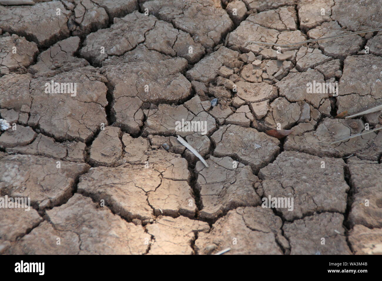 Dried field, vertrocknete Erde Stock Photo - Alamy
