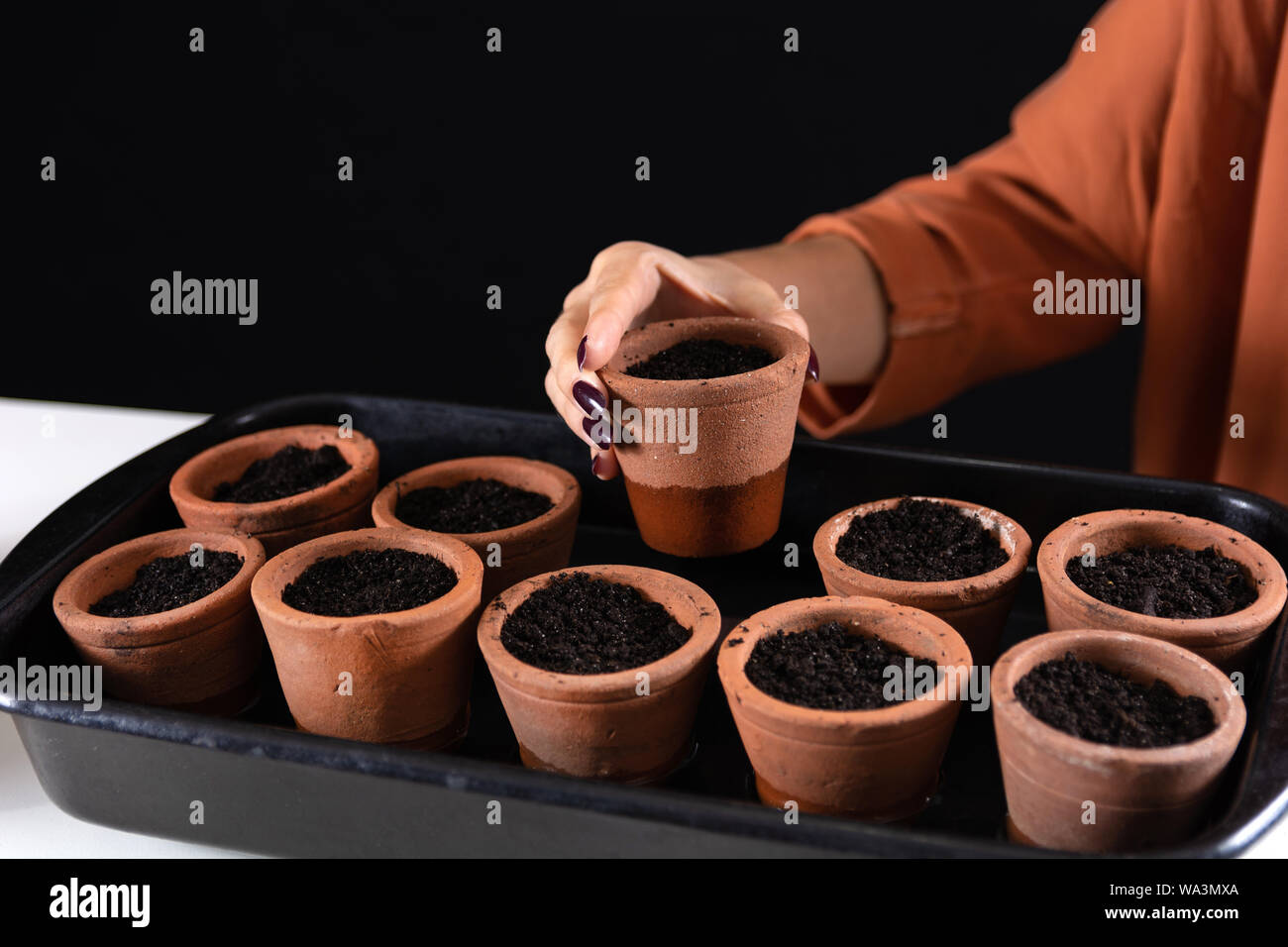 Planting procedure hi-res stock photography and images - Alamy