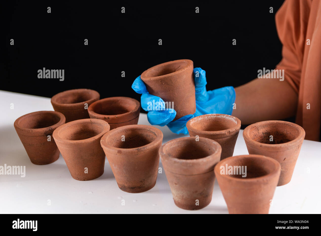 Woman gardener sowing seeds hi-res stock photography and images - Alamy