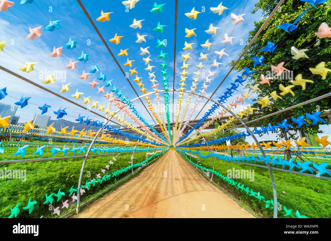 Paper Windmill High Resolution Stock Photography and Images - Alamy