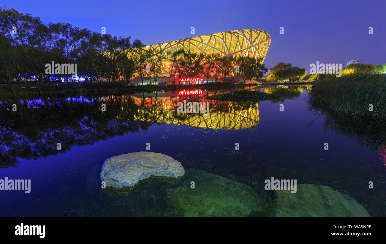 Night at the bird's nest Stock Photo - Alamy
