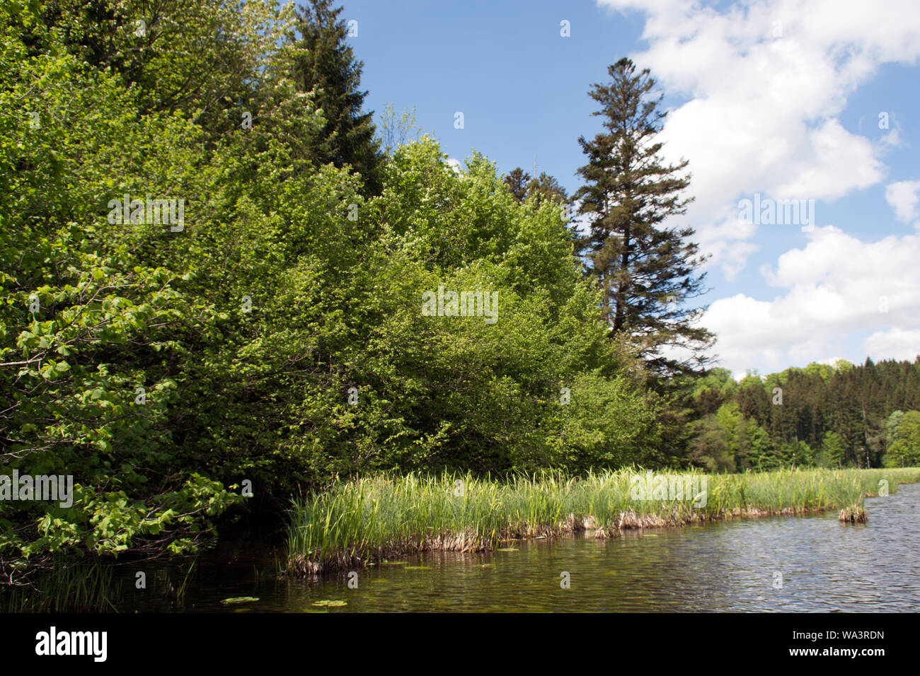 bavarian lake hackensee Stock Photo - Alamy