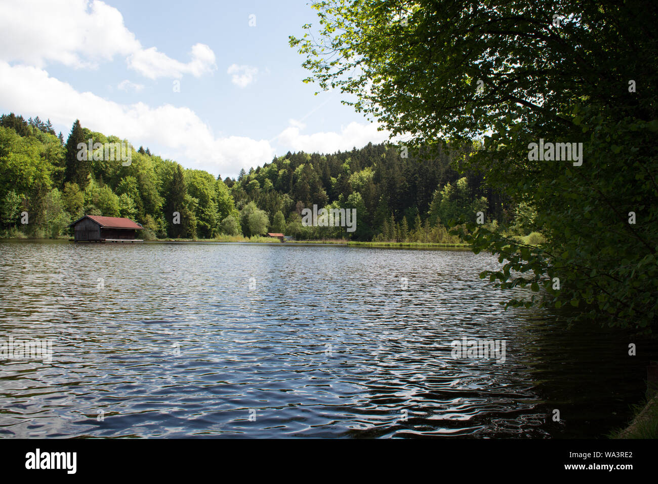 bavarian lake hackensee Stock Photo - Alamy