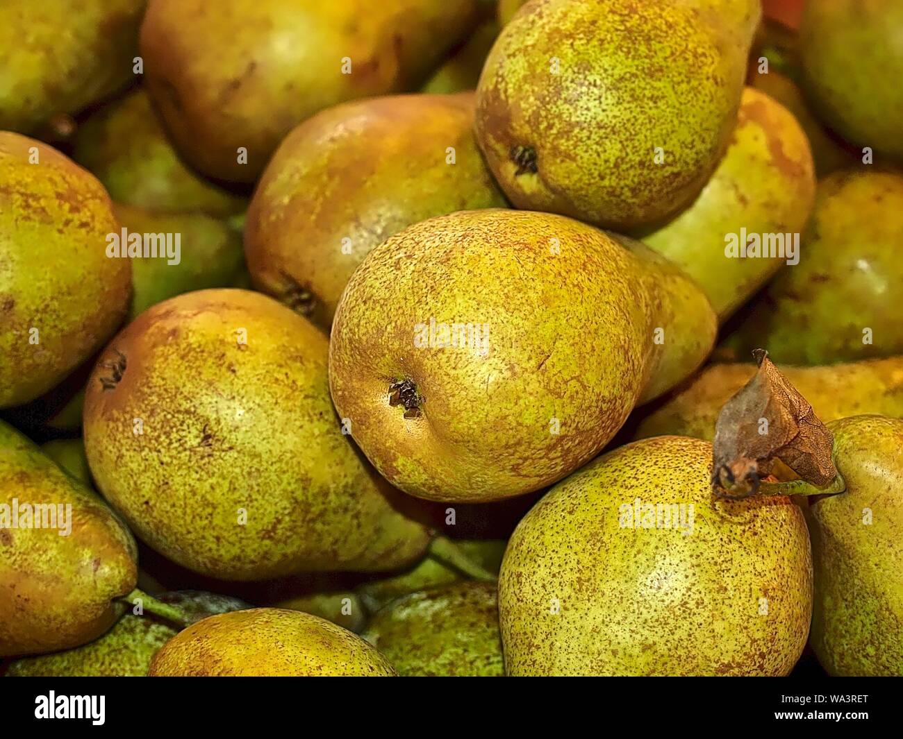 Passe crassane pear hi-res stock photography and images - Alamy