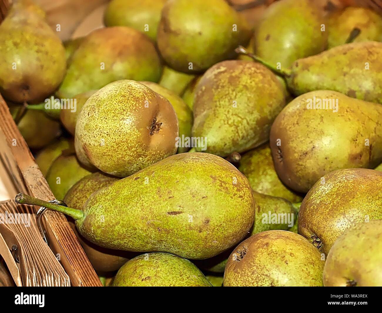 Pear passe crassane hi-res stock photography and images - Alamy