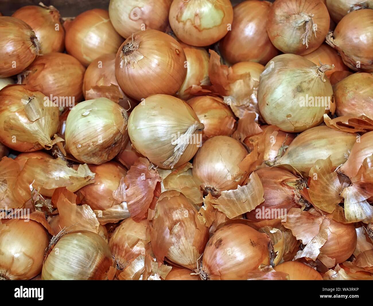 Pile of fresh onions at a food market Stock Photo - Alamy