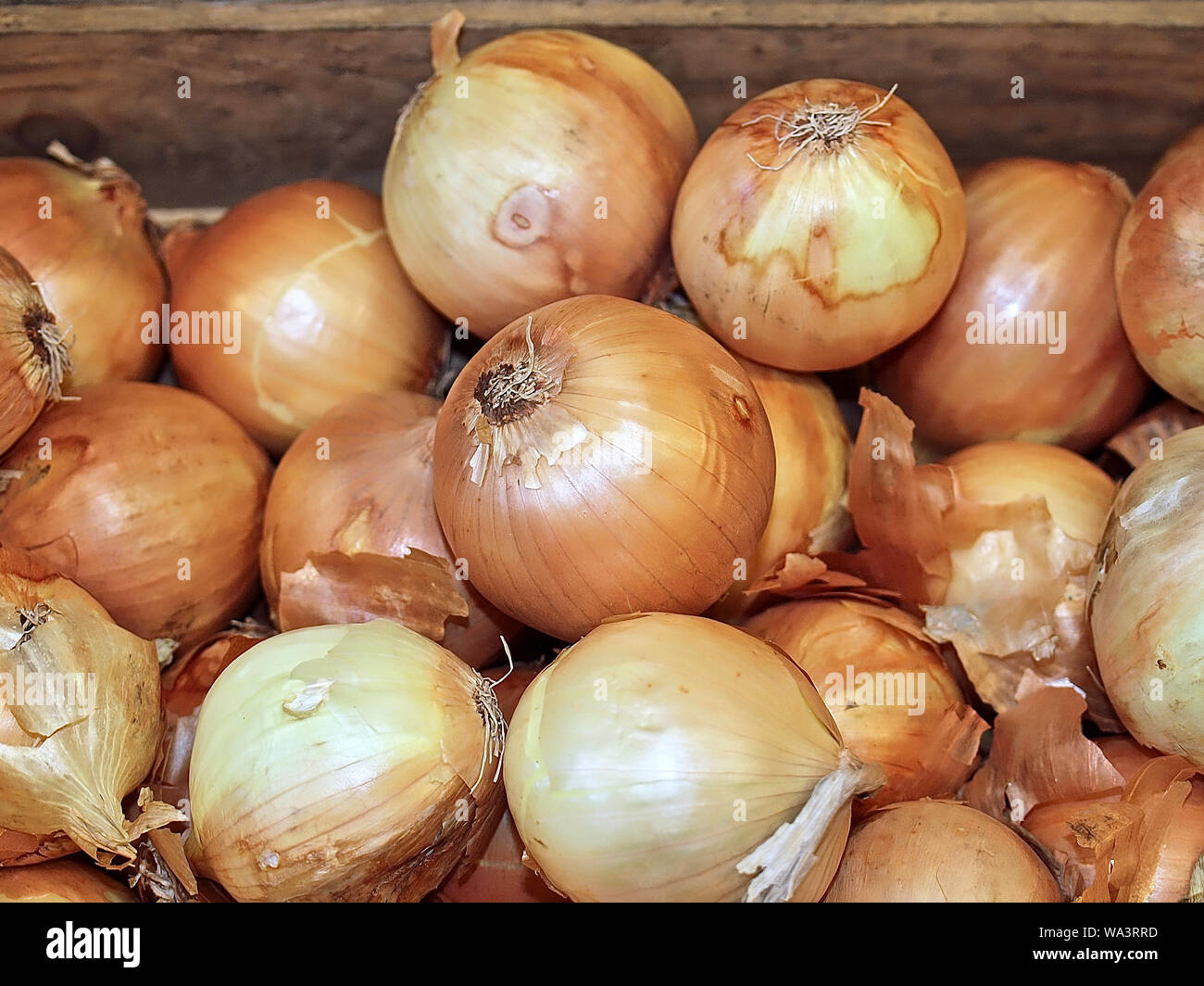 Pile of fresh onions at a food market Stock Photo - Alamy