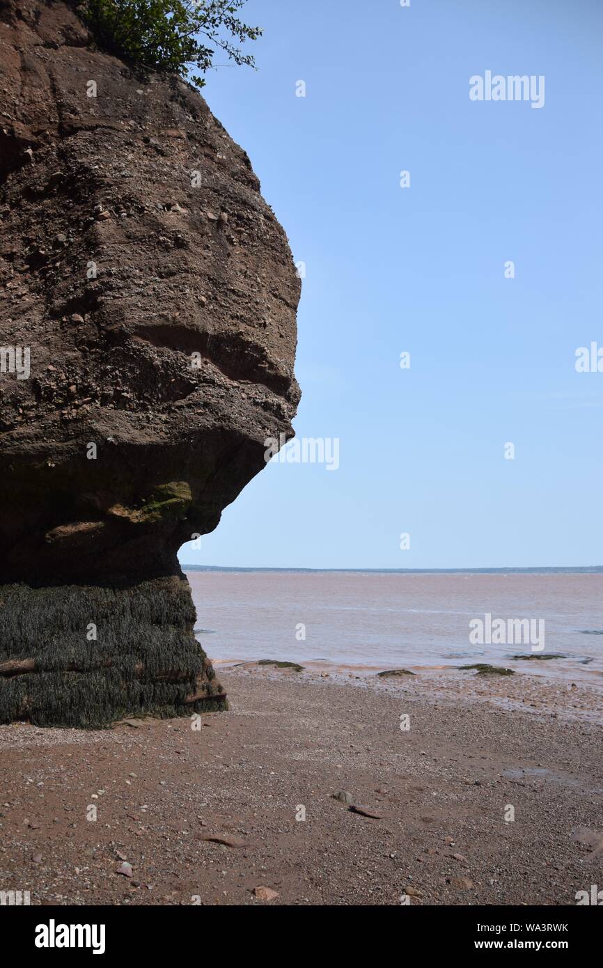 Flower pot Rock on the Bay of Fundy at low tide Stock Photo - Alamy