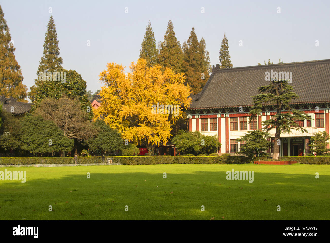 Nanjing normal university Stock Photo - Alamy