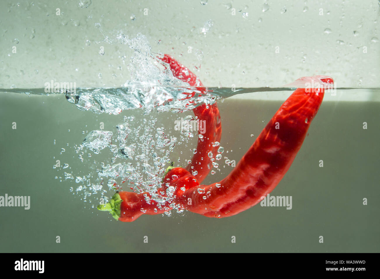 Chili fell into the water Stock Photo - Alamy