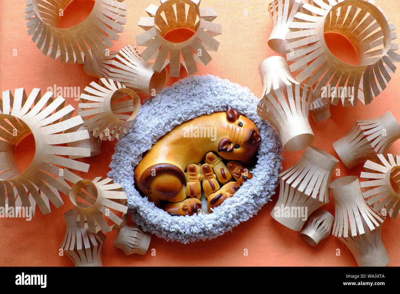 Close up from top view of moon cake with mother pig and piglets shape ...