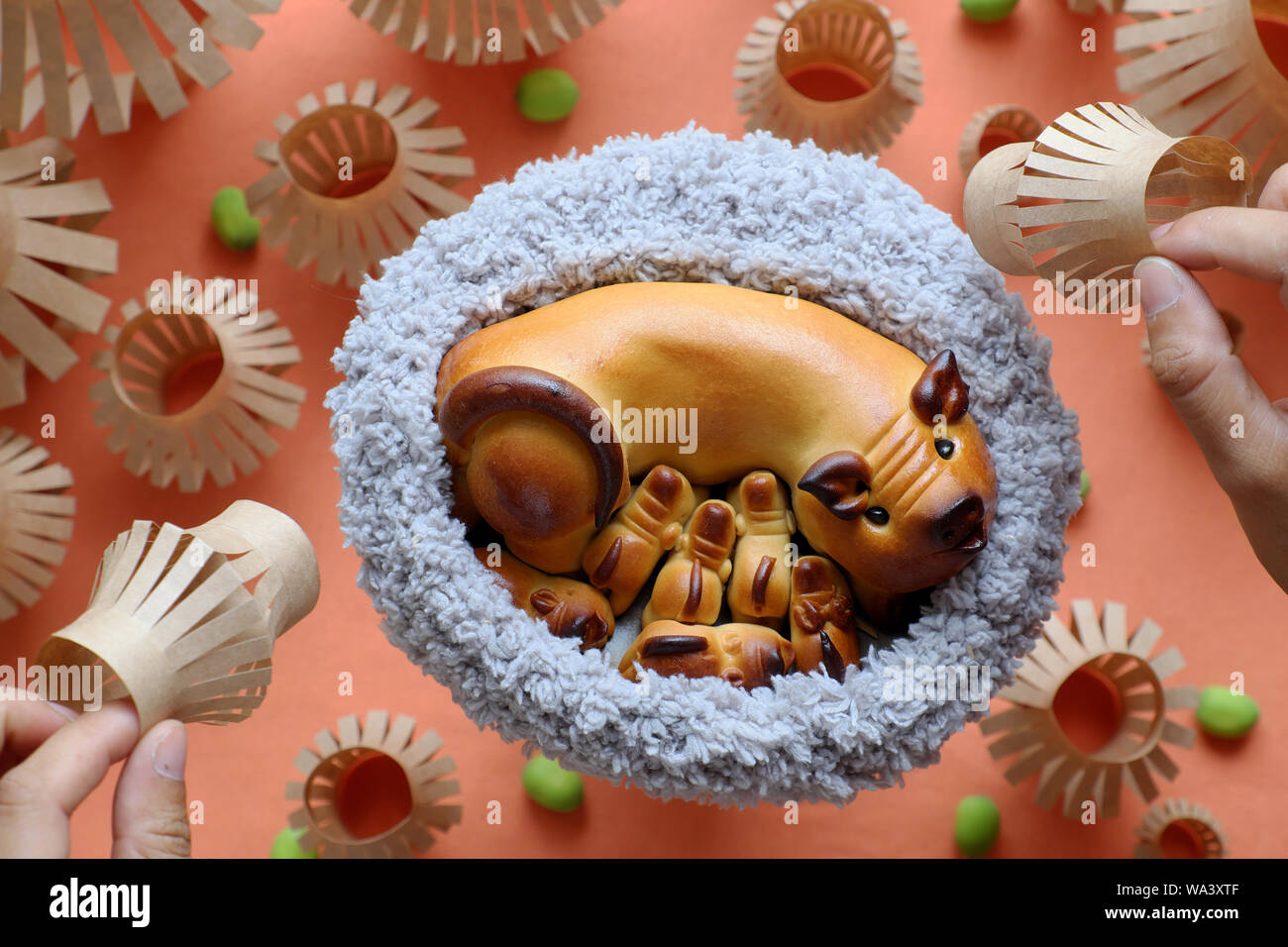 Close up from top view of moon cake with mother pig and piglets shape ...