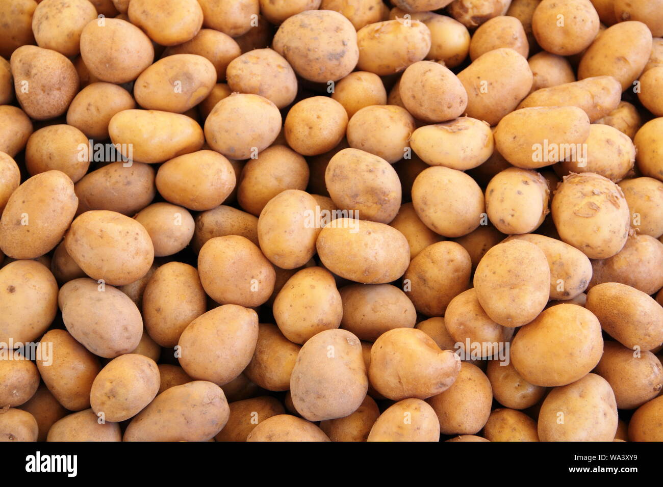 many potatoes in the supermarket Stock Photo - Alamy