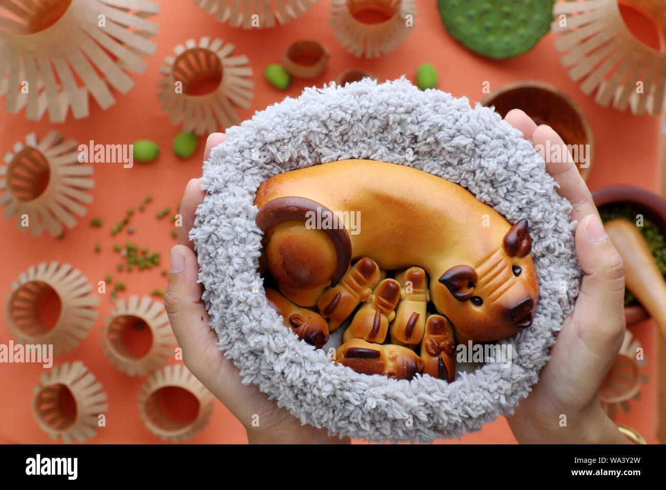 Orange piglet hi-res stock photography and images - Alamy