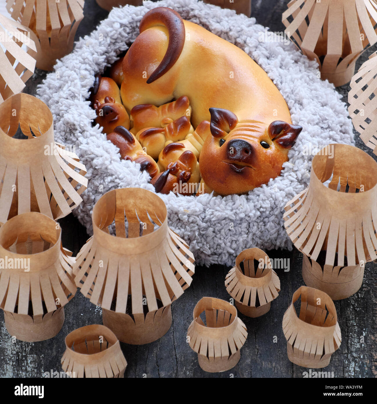 Close up from top view of moon cake with mother pig and piglets shape ...