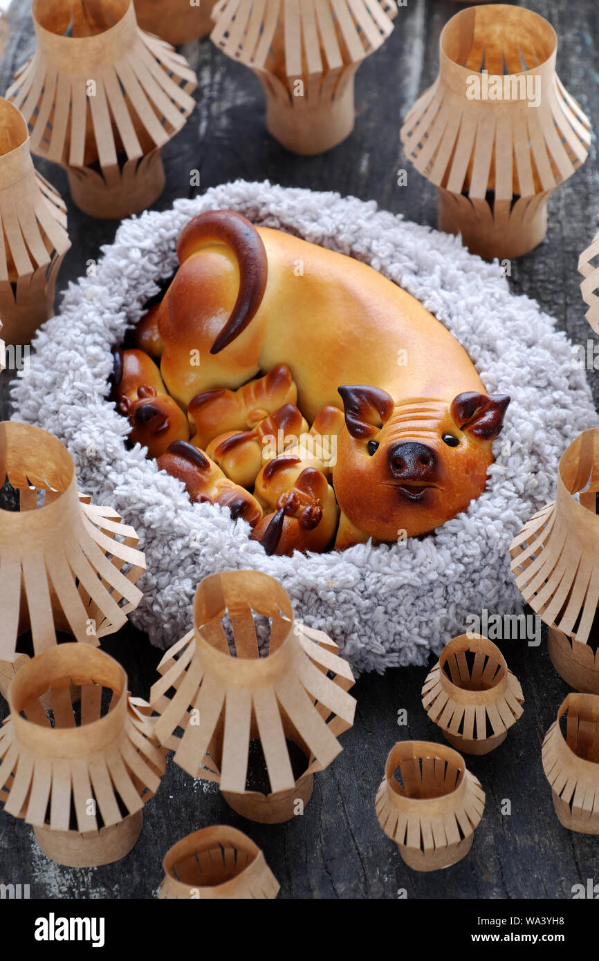 Close up from top view of moon cake with mother pig and piglets shape ...