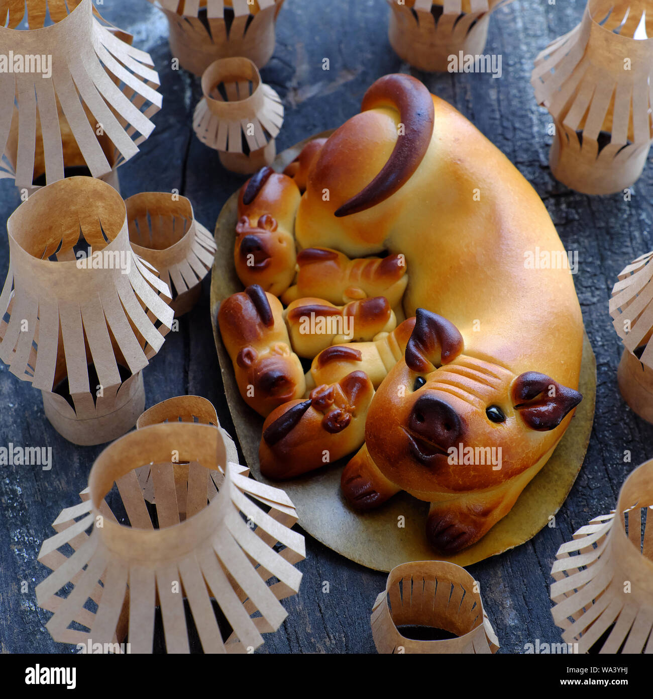Close up from top view of moon cake with mother pig and piglets shape ...