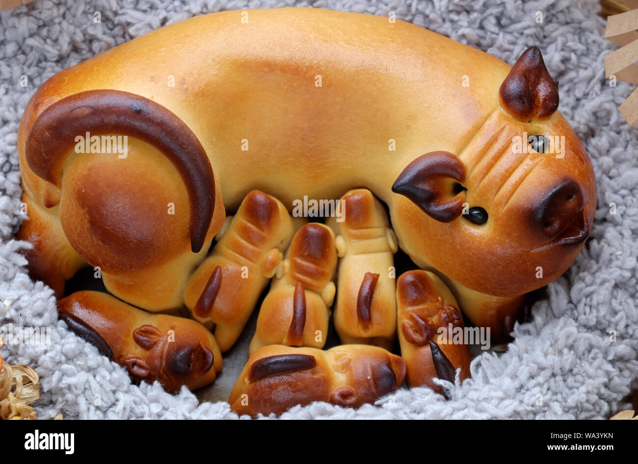 Close up of moon cake with mother pig and piglets shape in woolen ...