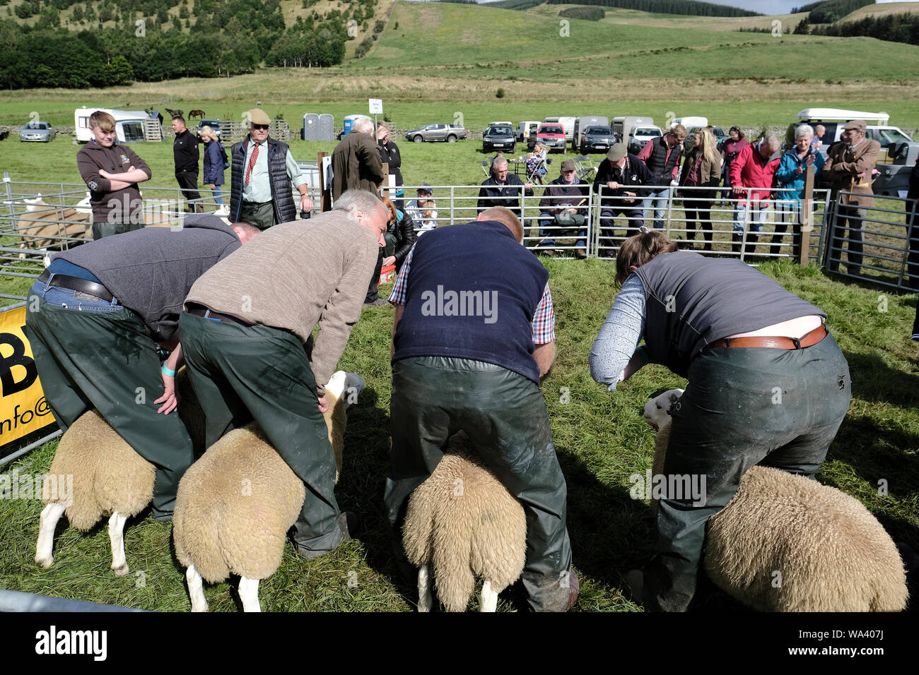 Peebles, UK. 17th Aug, 2019. Peebles, SCOTLAND - August 17 ...