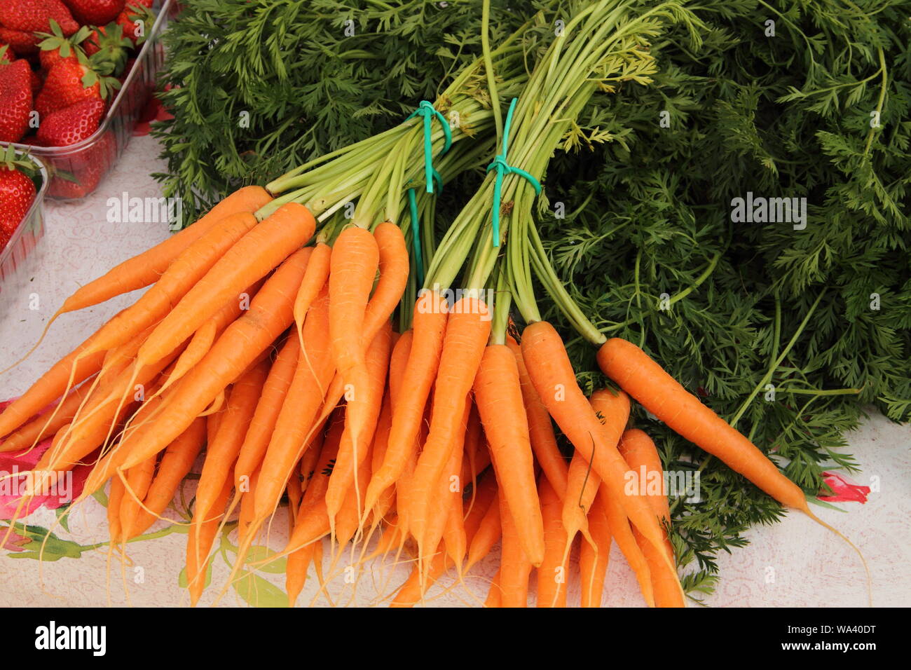 fresh carrots at the weekly market Stock Photo - Alamy