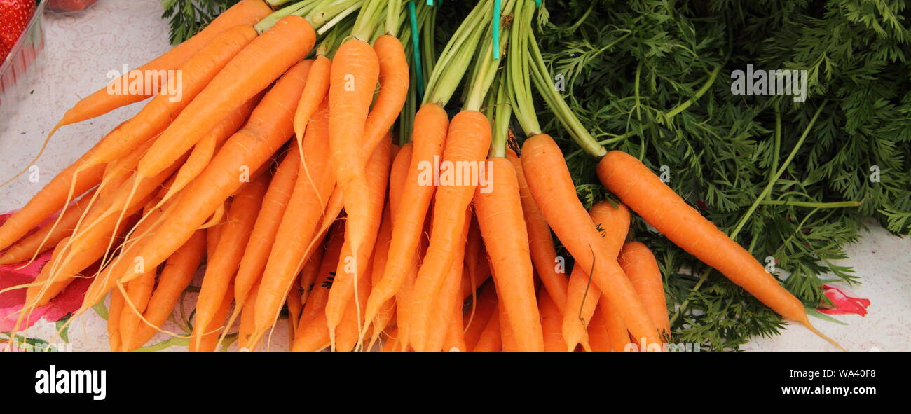 fresh carrots at the weekly market Stock Photo - Alamy