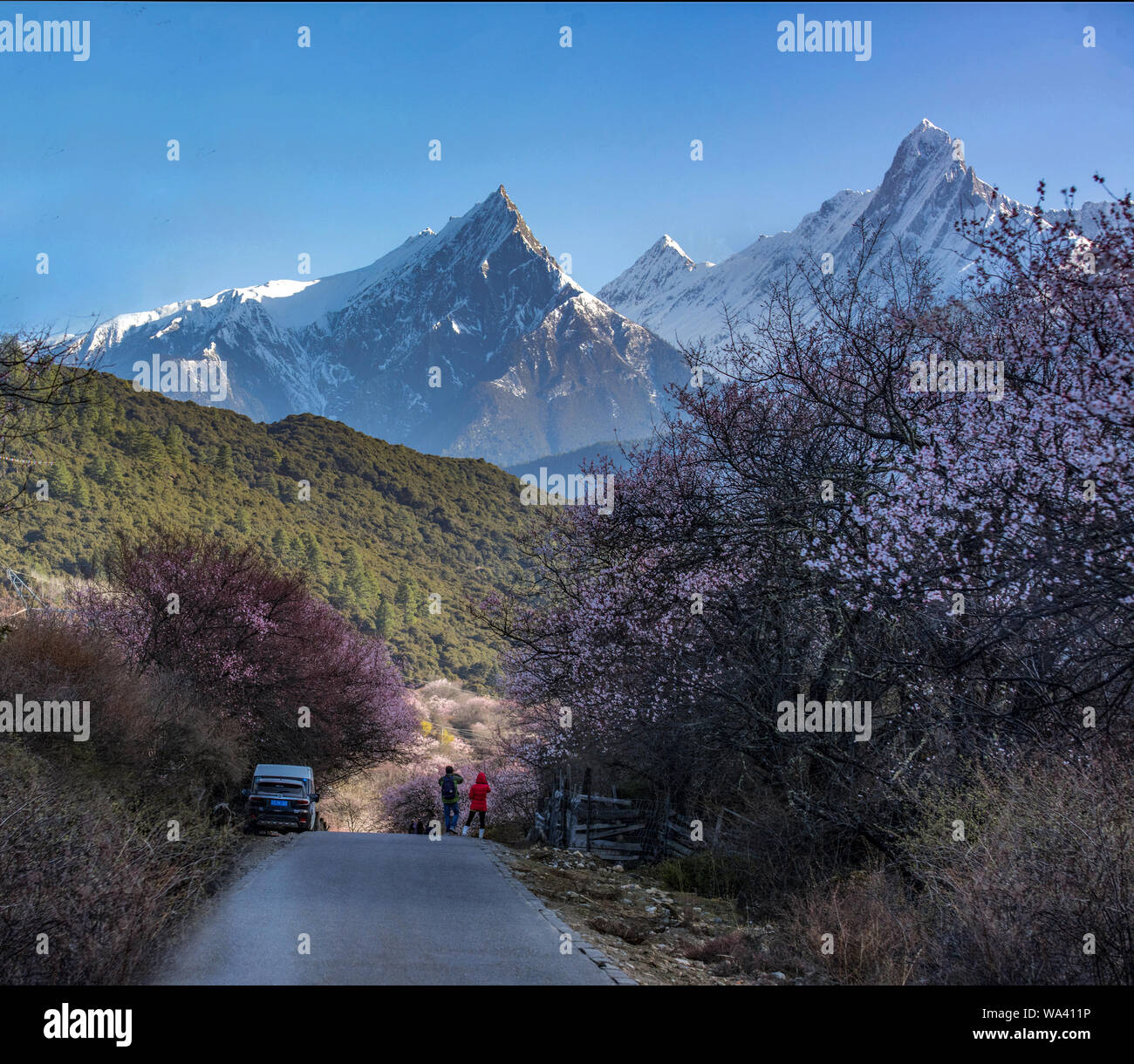 Peach blossom valley hi-res stock photography and images - Alamy