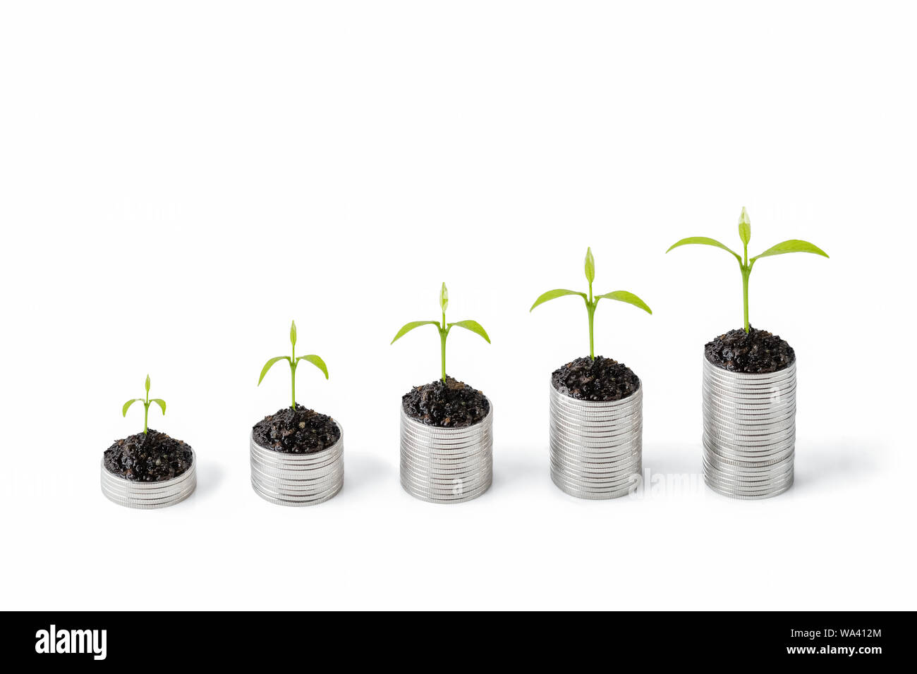 Silver coins and tree growth. Money growth concept, can be use with a ...